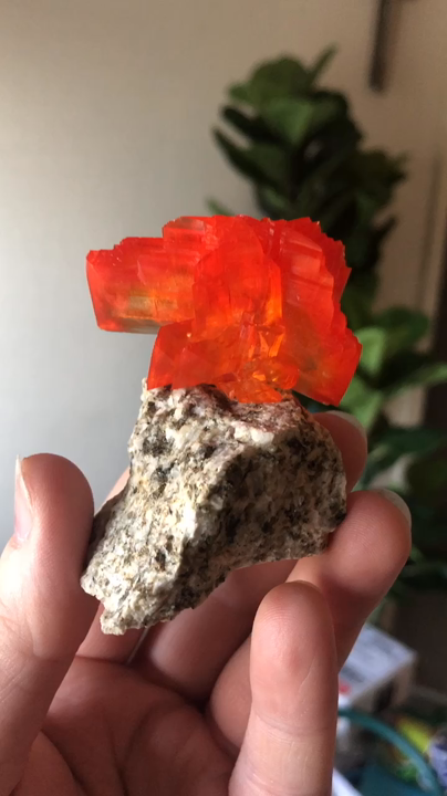 Home Décor Home & Living Arcanite Orange From Poland LQQK Bright Color ...